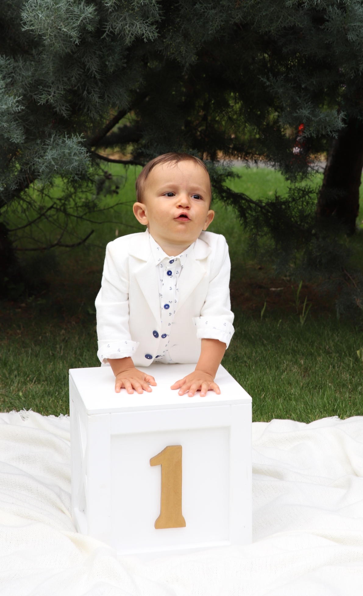 Vlad Andrei - Cabina Cu Nebunii